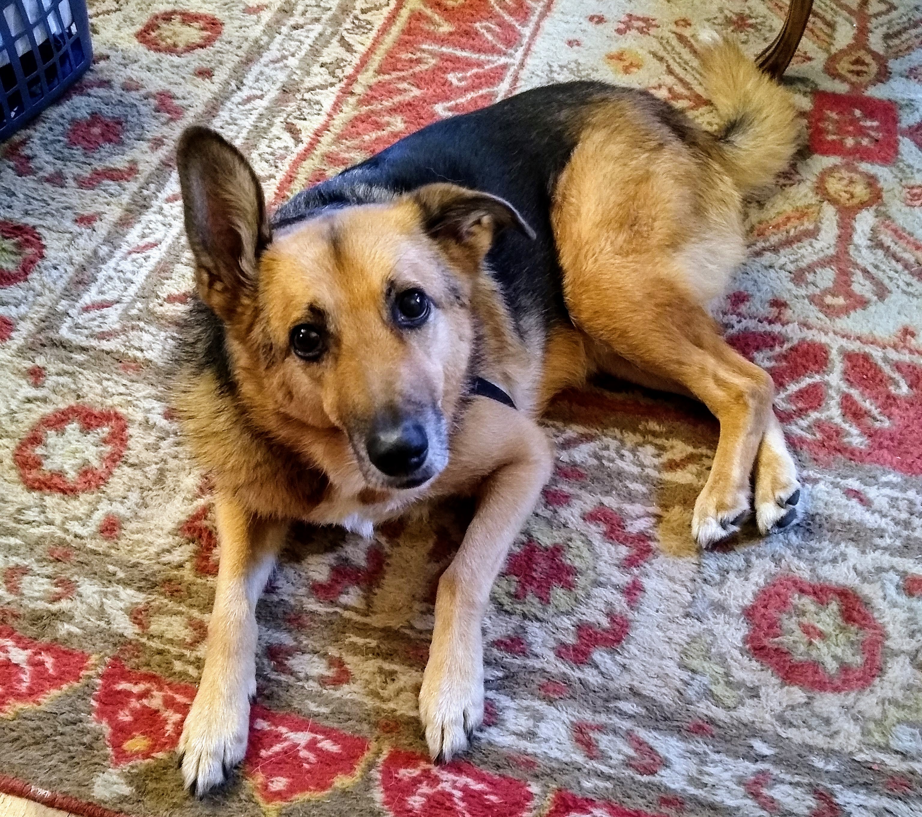 Thor Michaelson: Surgery Update – Vacuum Cleaner Defense League